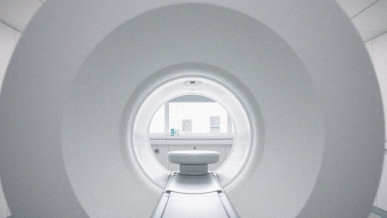 Gdzie jest bark? Anatomia i funkcje stawu barkowego